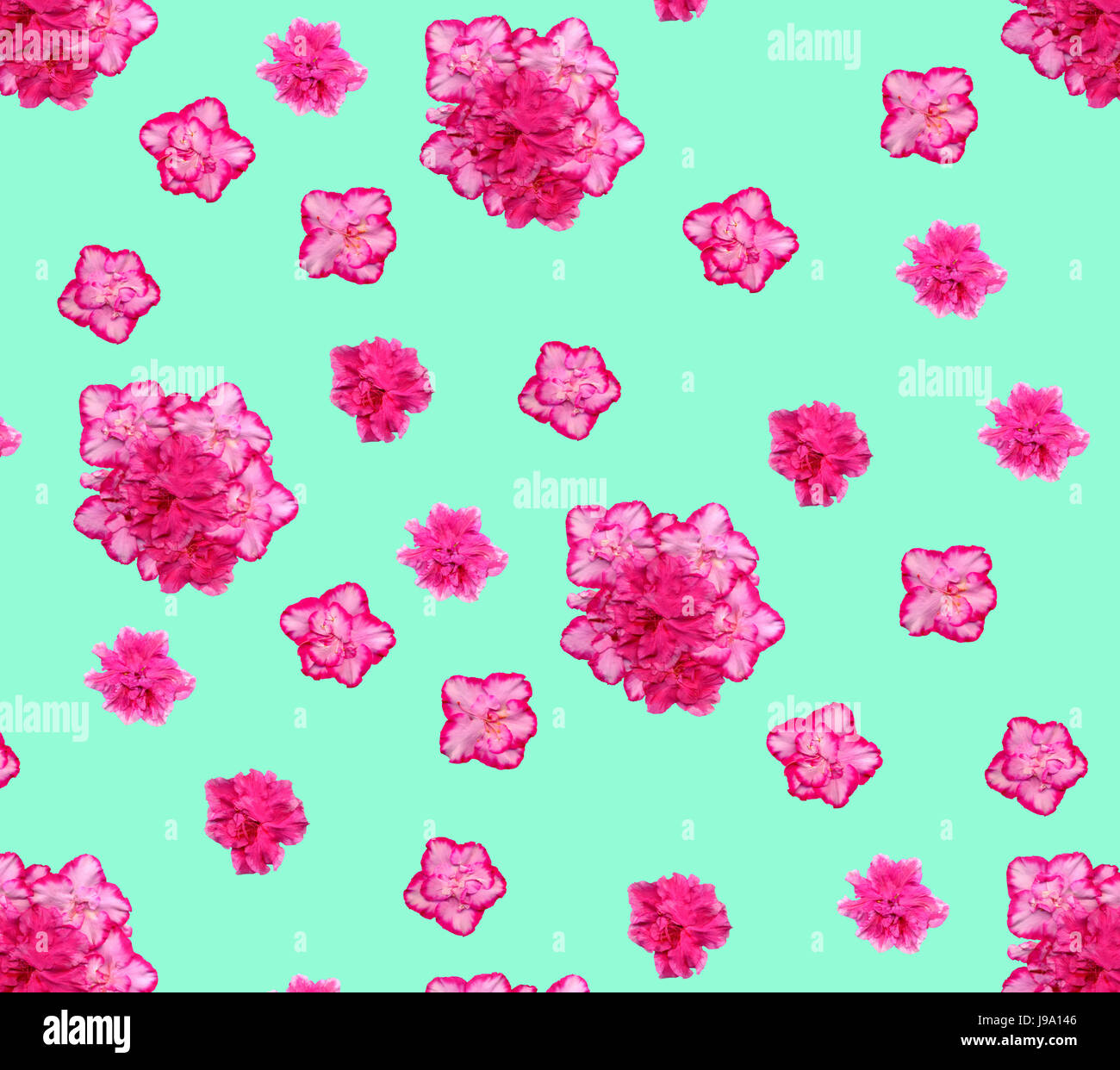 pattern of little big azalea blossoms on a turquoise background Stock ...