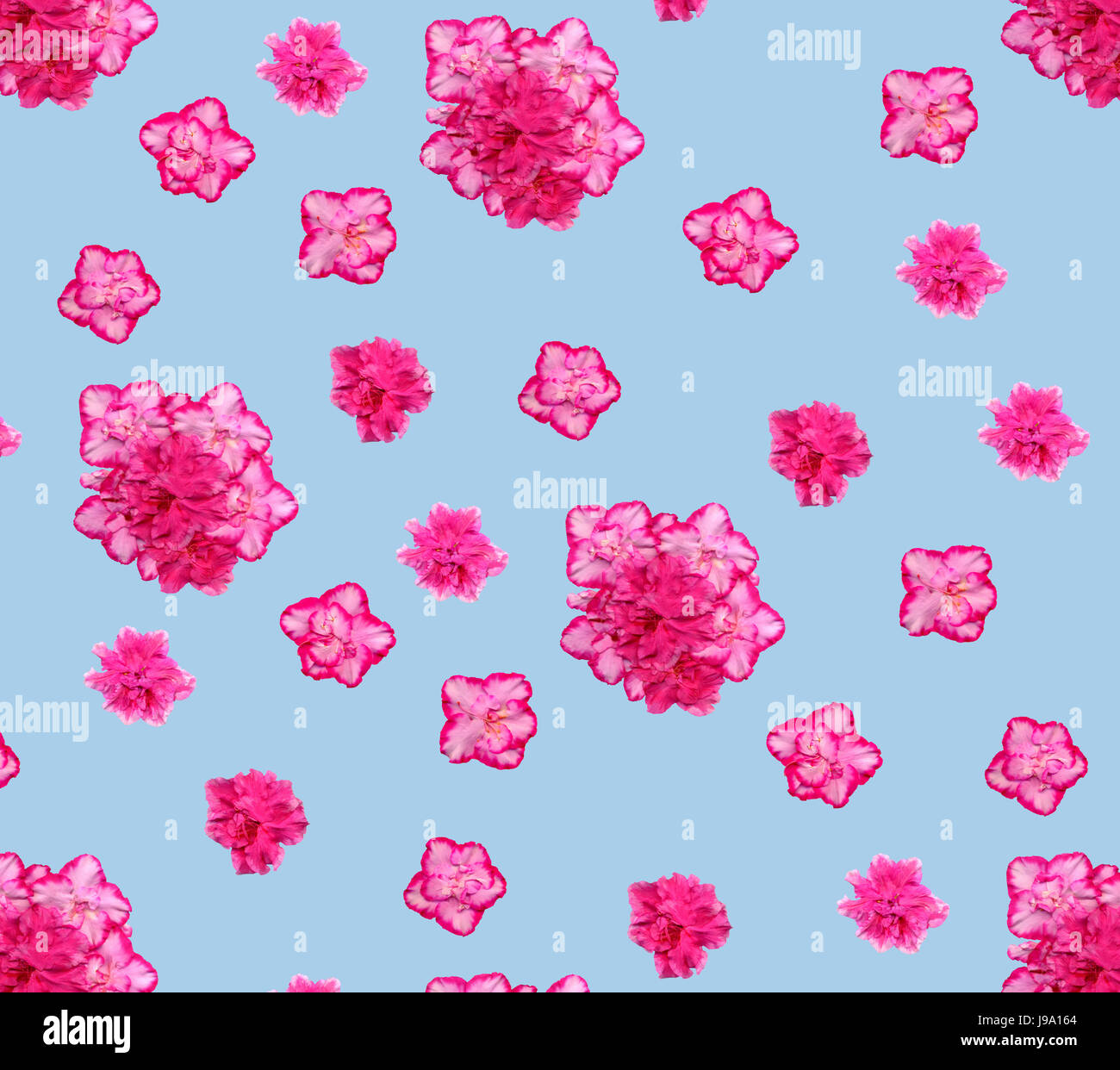 decoration, wallpaper, rosette, design, shaping, formation, shape ...