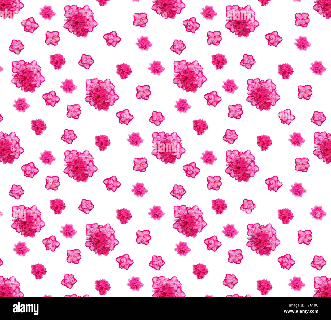 decoration, wallpaper, rosette, design, shaping, formation, shape ...