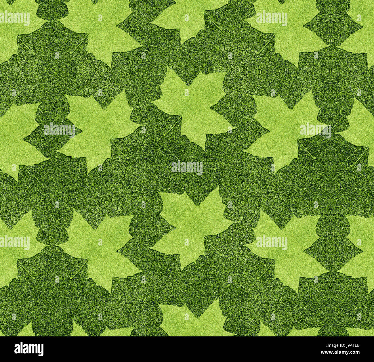 leaf, eco, environment, enviroment, model, design, project, concept ...