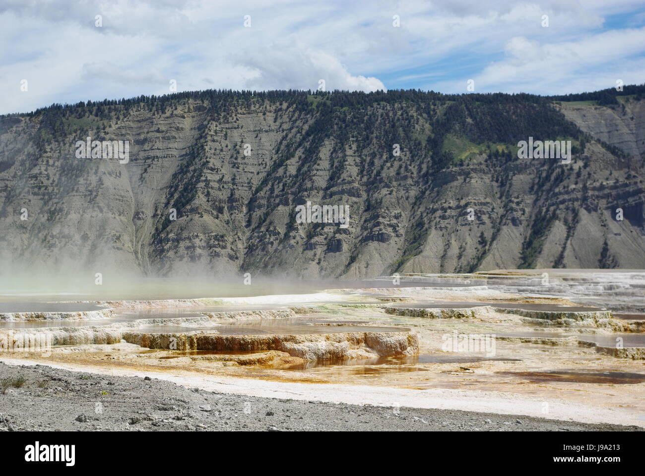 mammoth terraces,yellowstone national park,wyoming Stock Photo - Alamy