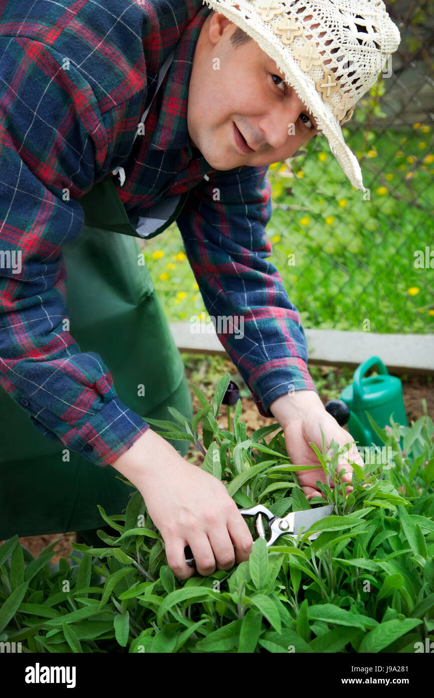 model, design, project, concept, plan, draft, garden, male, masculine ...