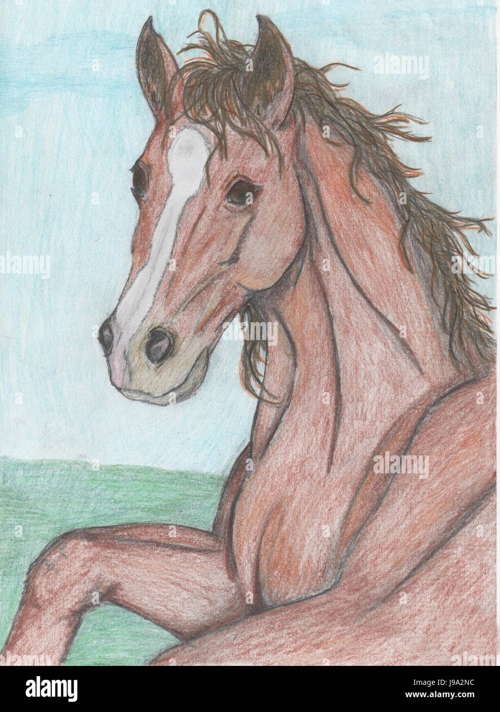 horse, animal, freedom, liberty, drawing, photo, picture, image, copy ...