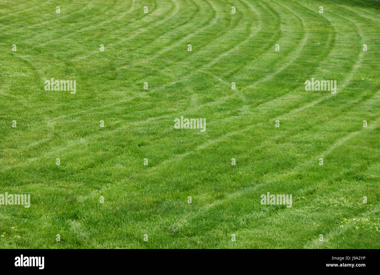 Englischer Rasen High Resolution Stock Photography and Images - Alamy