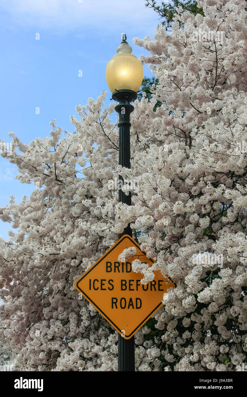 Icy bridge sign hi-res stock photography and images - Alamy