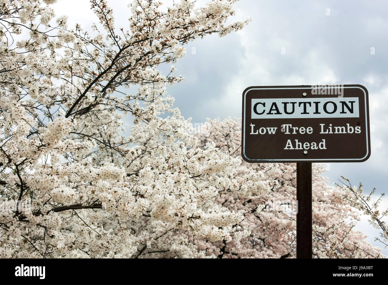 american, direction, sign, signal, traffic sign, english, sign, signal ...