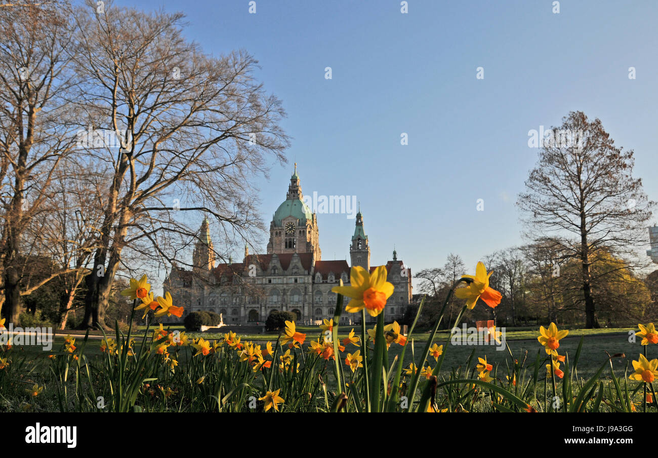 town hall, hanover, style of construction, architecture, architectural ...