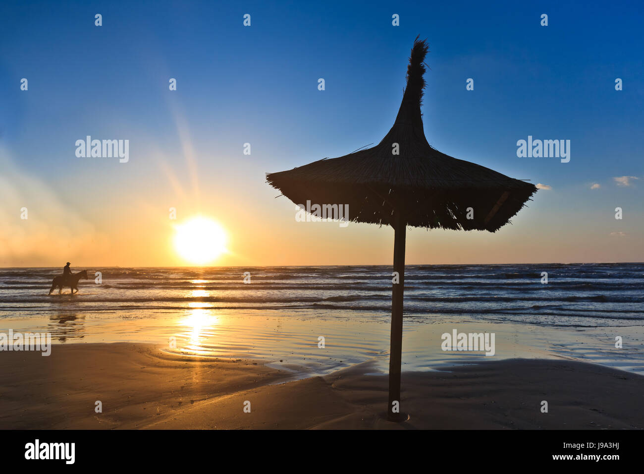 beach, seaside, the beach, seashore, summer, summerly, sunrise ...