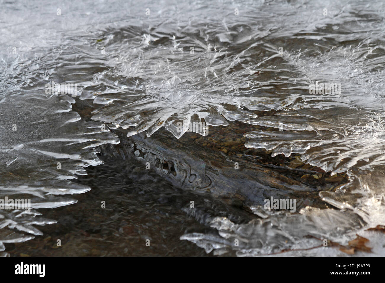 work of art, winter, stream, ice, frozen, water, nature, beautiful ...