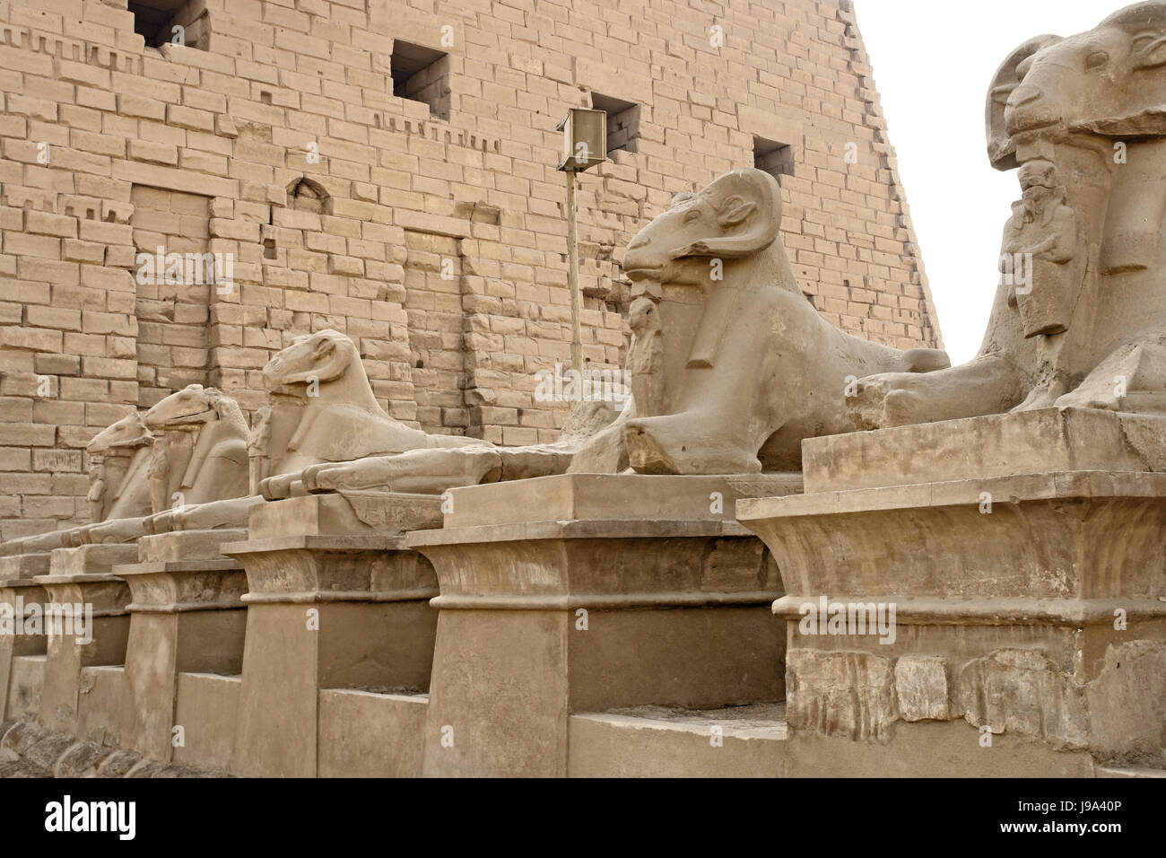 row, sphinx, historical, story, religion, temple, god, monument, art ...