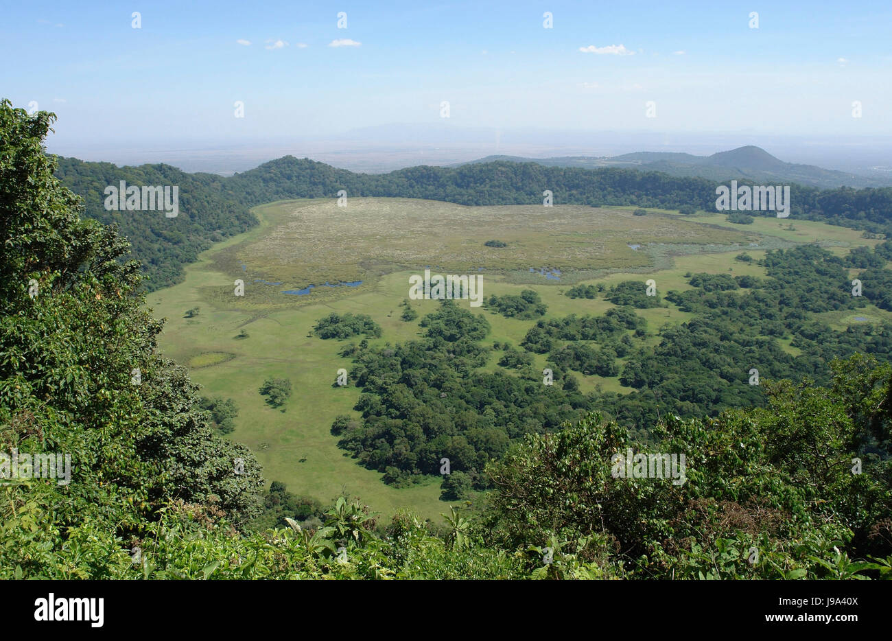 africa, aerial view, tanzania, semitropical, leaf, travel, environment ...