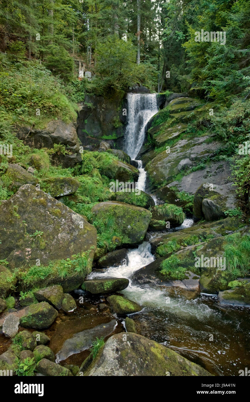 waterfall, biotop, stairs, leaf, tree, flow, stone, conservation of ...