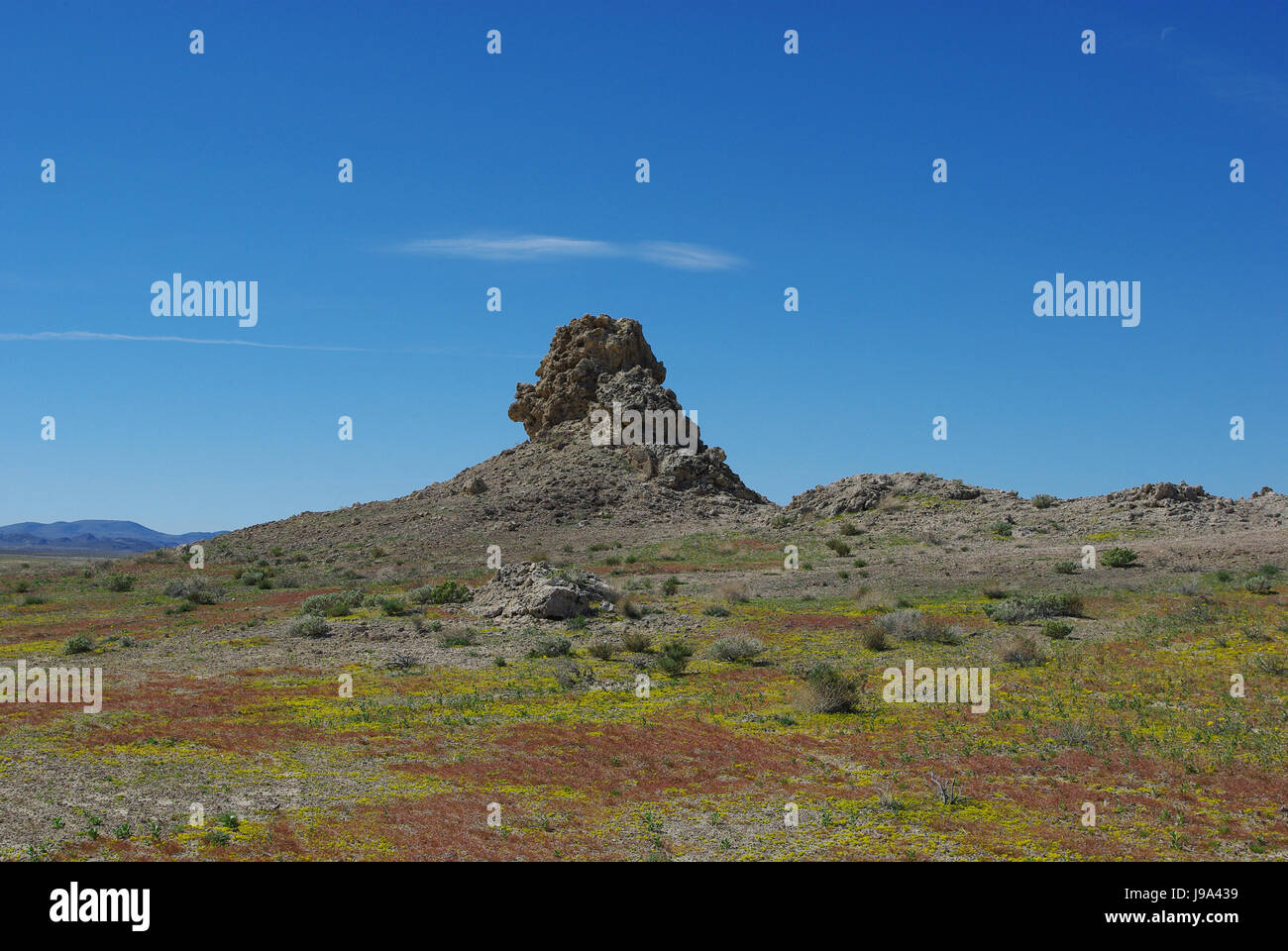 tower, flower, plant, formation, rock, mountain, red, yellow, blue ...