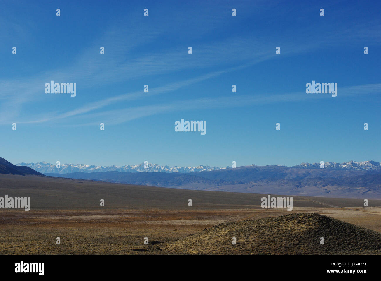 desert, wasteland, rock, shrub, bush, snow, mountain, plant, blue ...