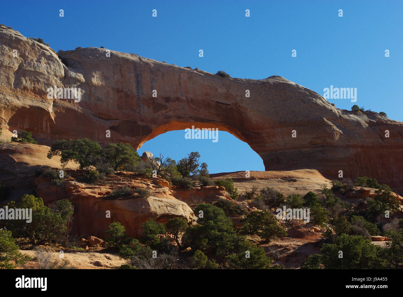 desert, wasteland, arc, formation, rock, bush, arcs, desert, wasteland ...