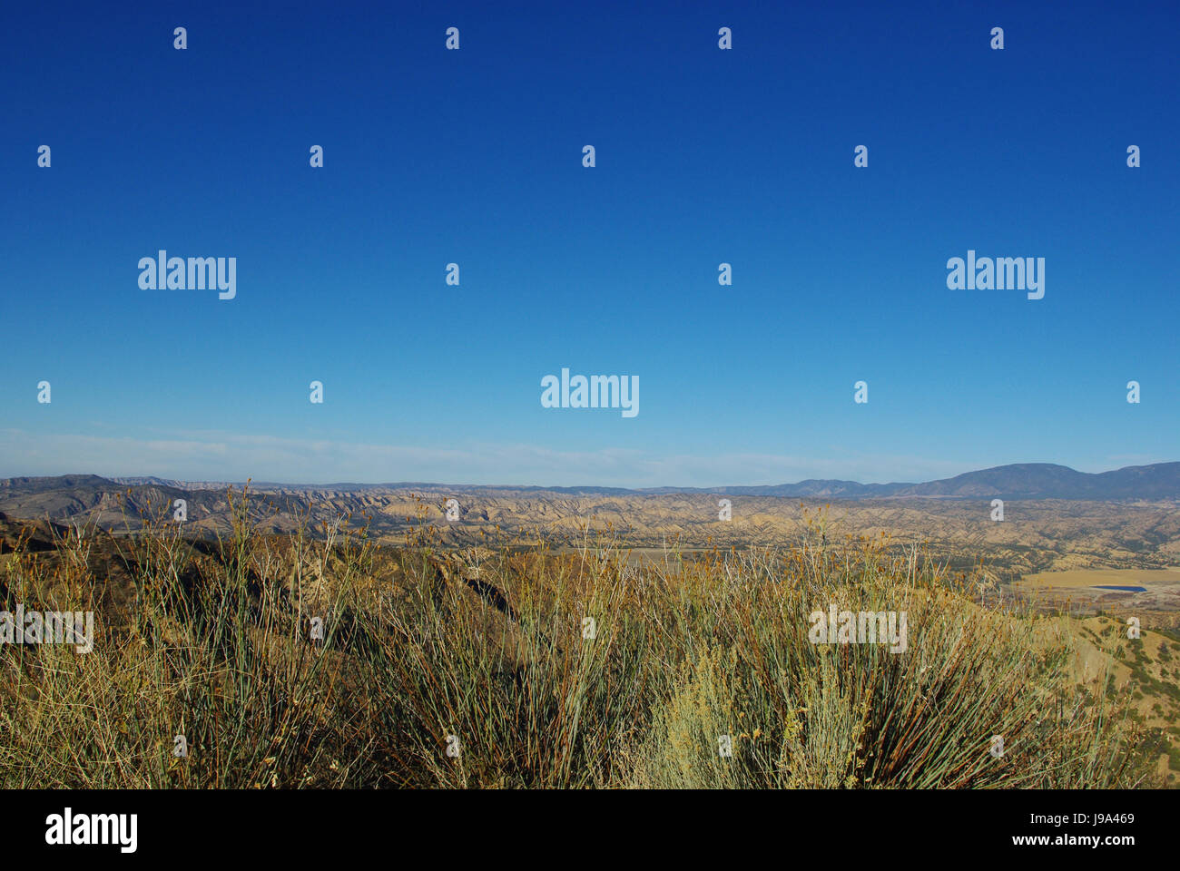 shrub, sight, view, outlook, perspective, vista, panorama, lookout ...