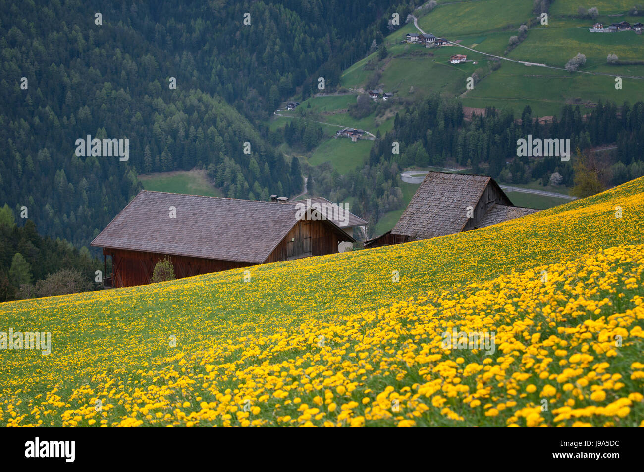 hike, go hiking, ramble, south tyrol, spring, scenery, countryside ...