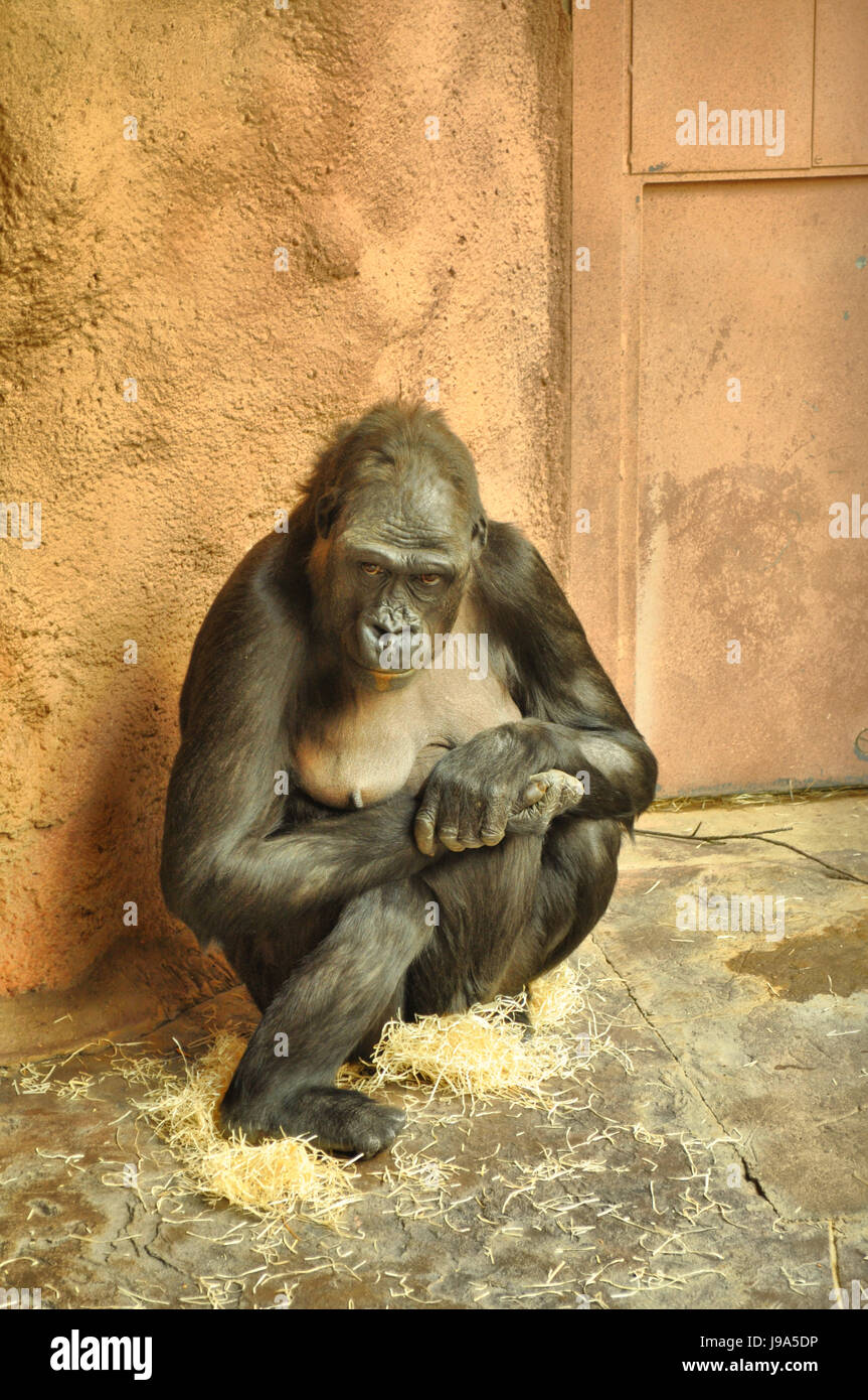 hand, hands, big, large, enormous, extreme, powerful, imposing, immense ...