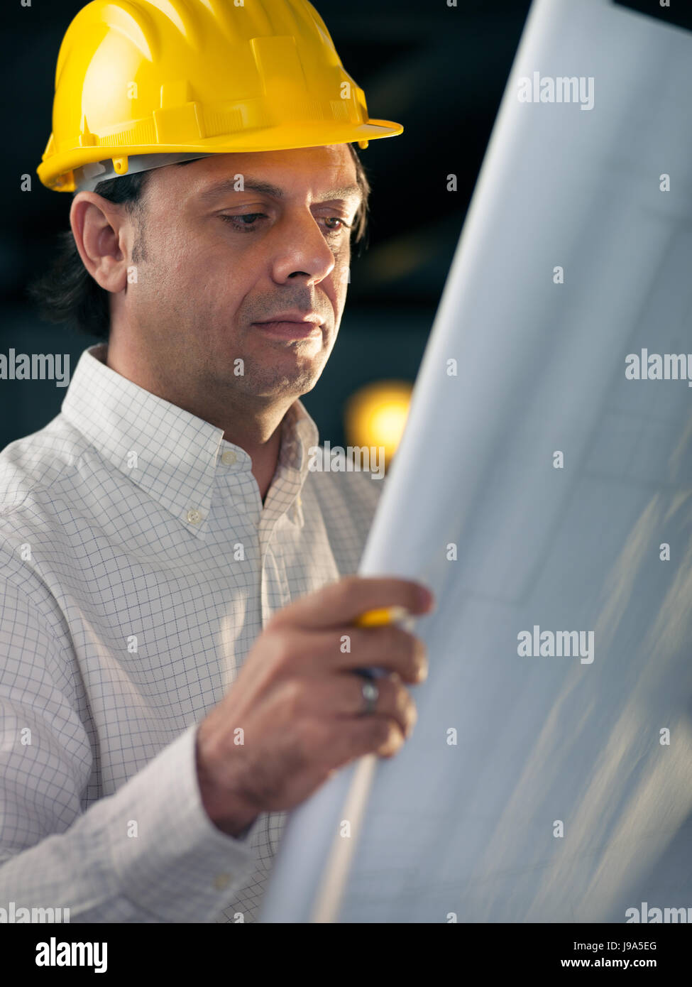 plans, serious, reading, engineer, project, man, proud, pride, humans ...