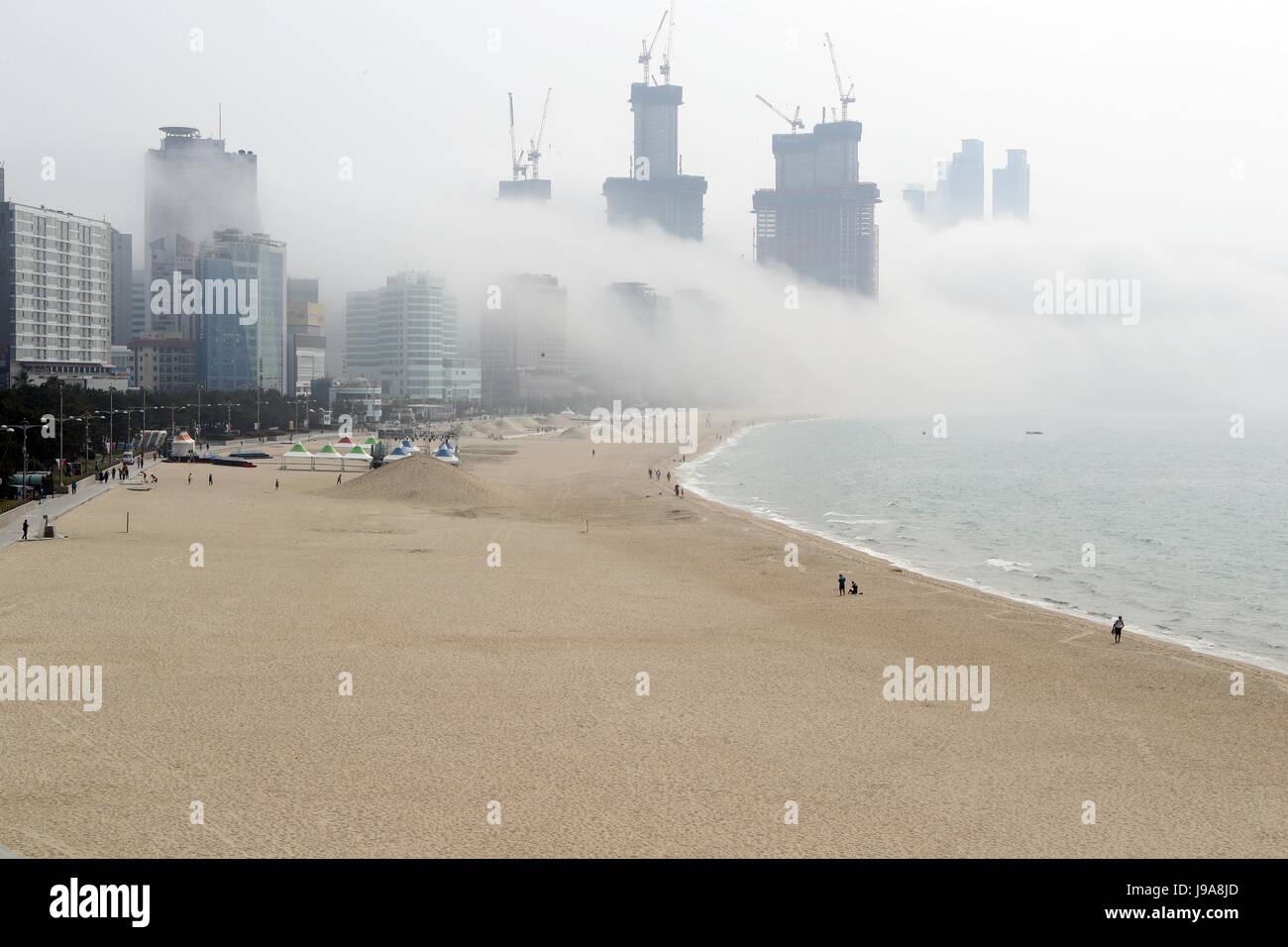 Haeundae Beach opens for summer Sea fog spreads over Haeundae Beach in ...