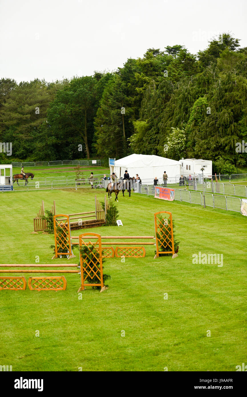Shepton Mallet, UK. 31th May, 2017. Bath and West Show 2017. Credit ...
