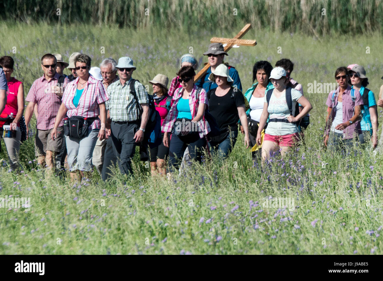 Regensburg, Germany. 1st June, 2017. Pilgrims set out on Germany's ...