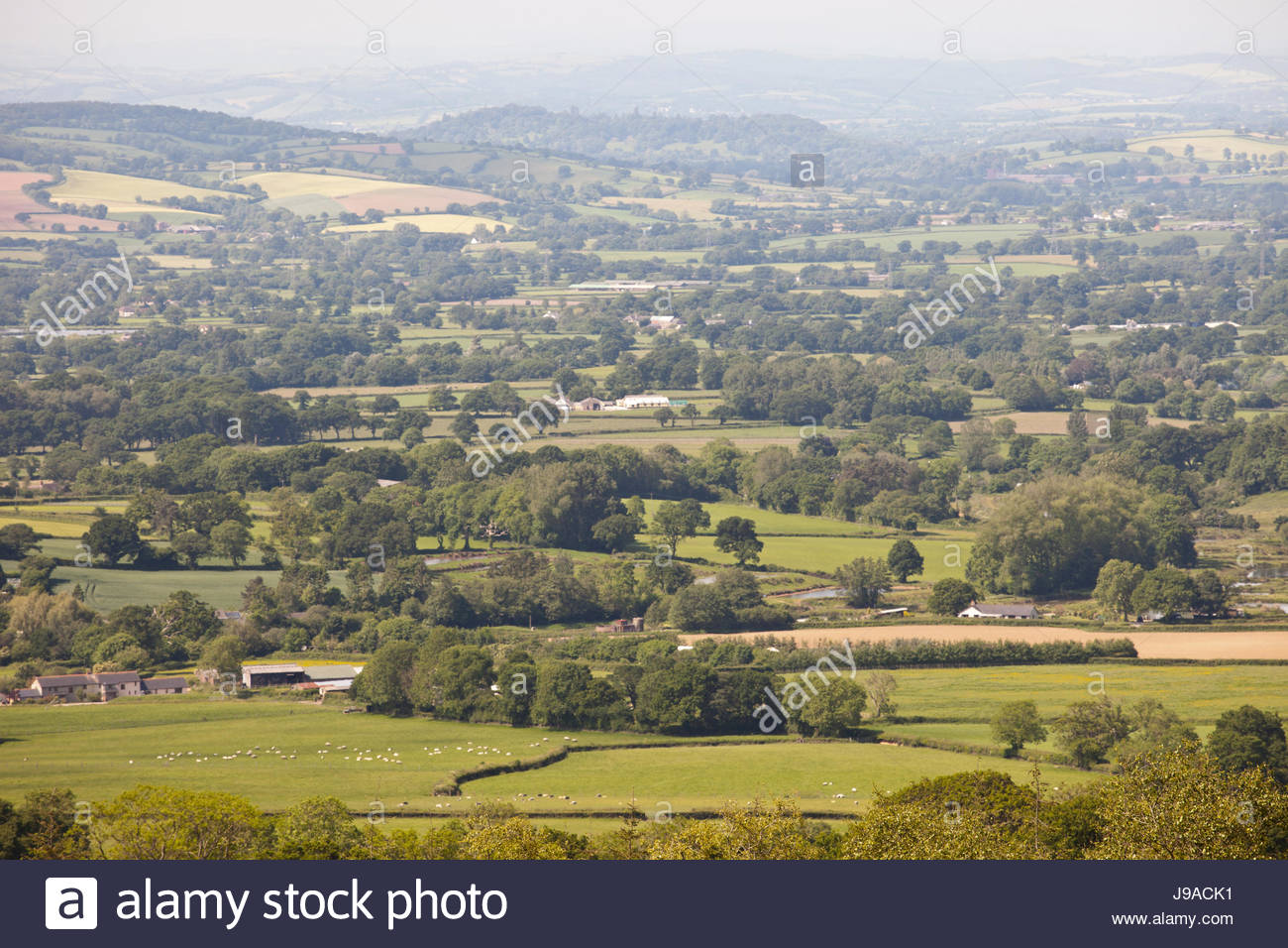 Blackdown Hills Devon Stock Photos & Blackdown Hills Devon Stock Images ...