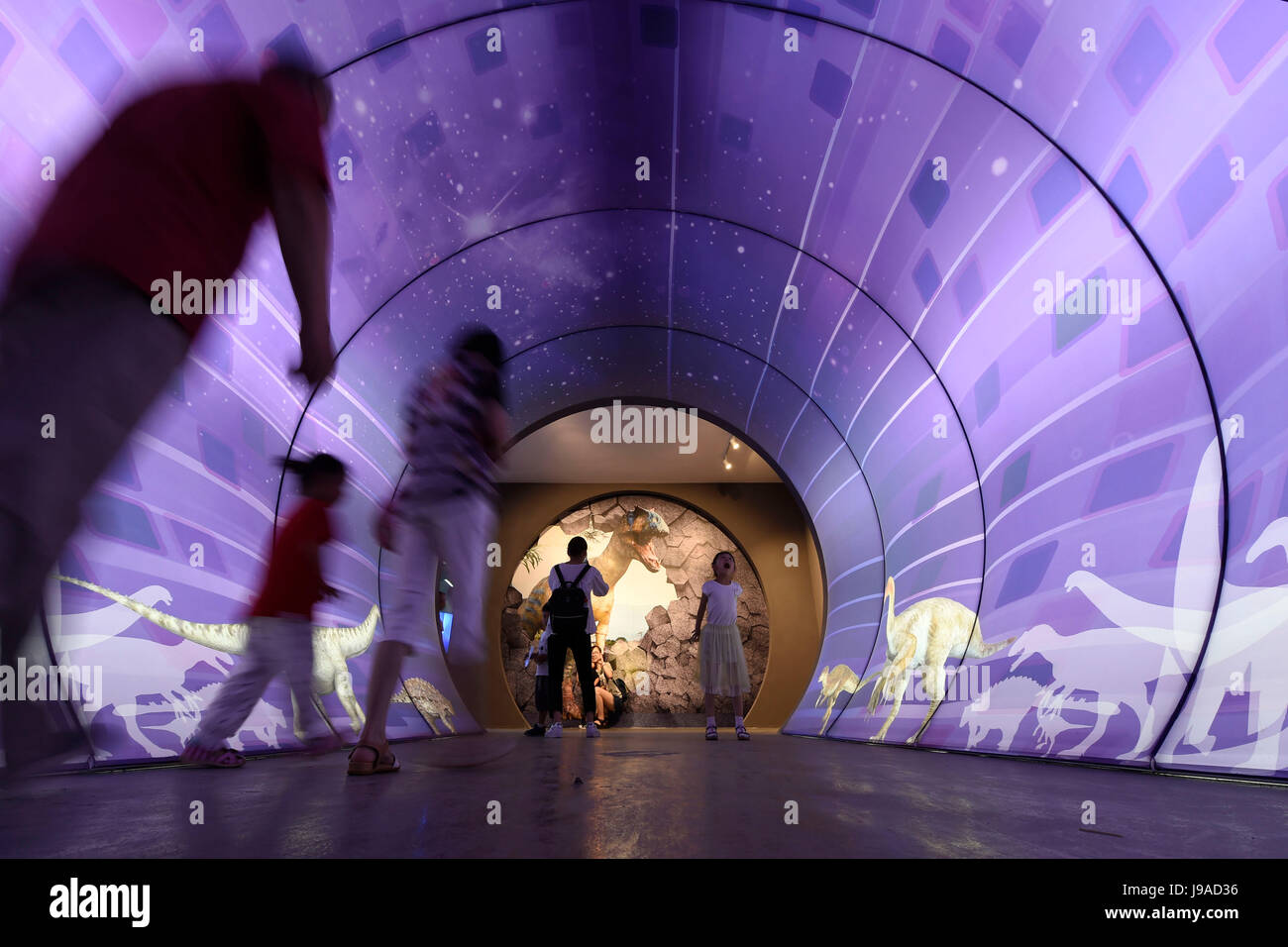 Zhejiang museum of natural history hi-res stock photography and images ...