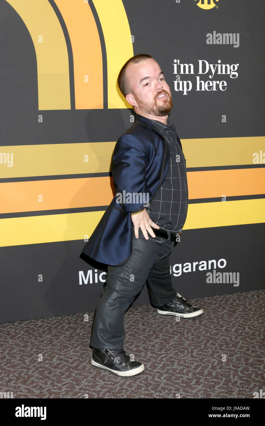 Los Angeles, CA, USA. 31st May, 2017. LOS ANGELES - MAY 31: Brad ...