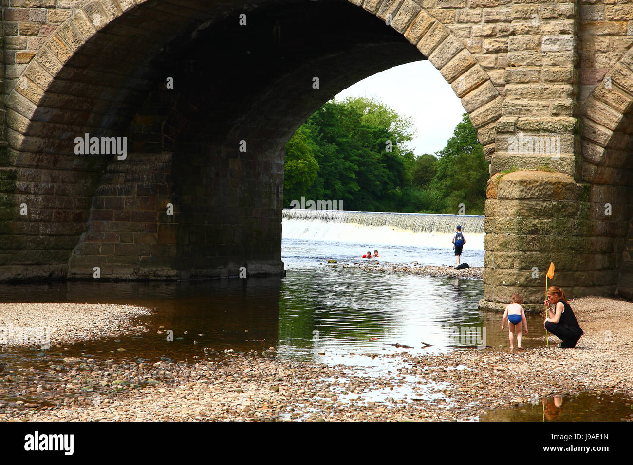 Wetherby river wharfe spring hi-res stock photography and images - Alamy