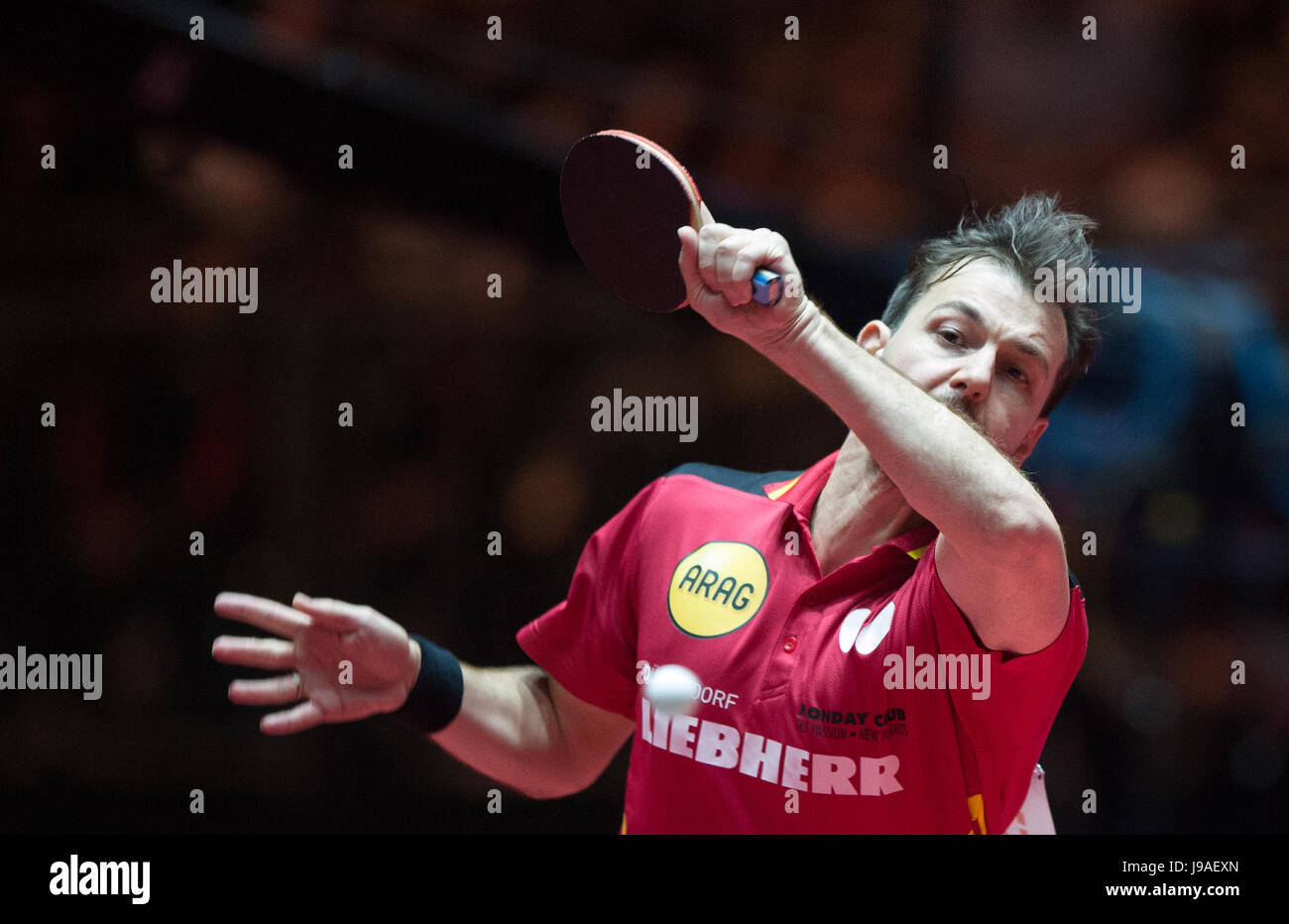 Duesseldorf, Germany. 1st June, 2017. Timo Boll of Germany playing ...