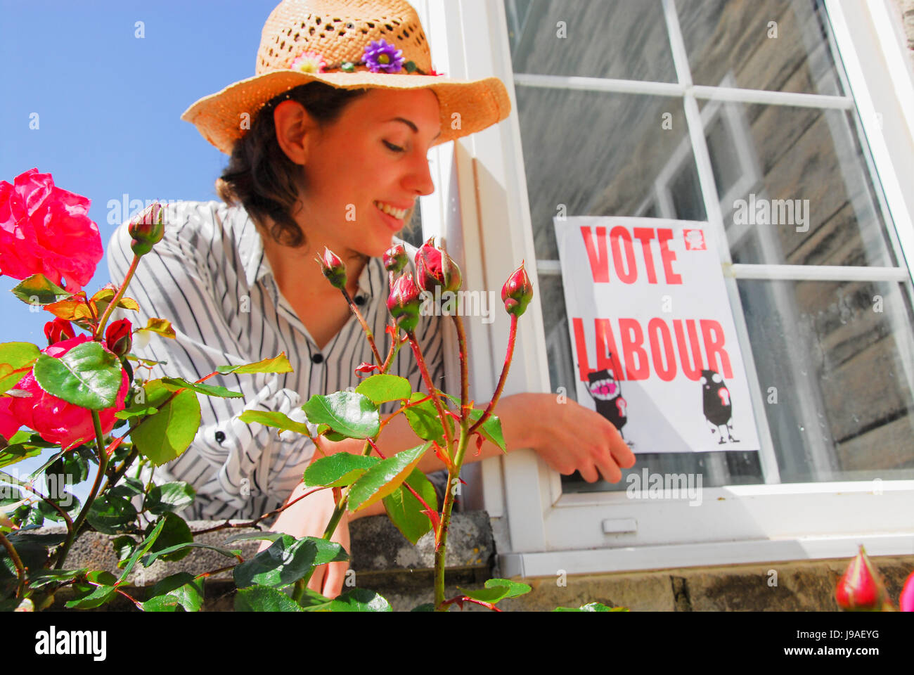 Labour rose logo hi-res stock photography and images - Alamy
