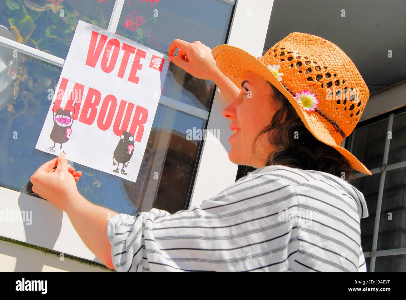 Labour rose logo hi-res stock photography and images - Alamy