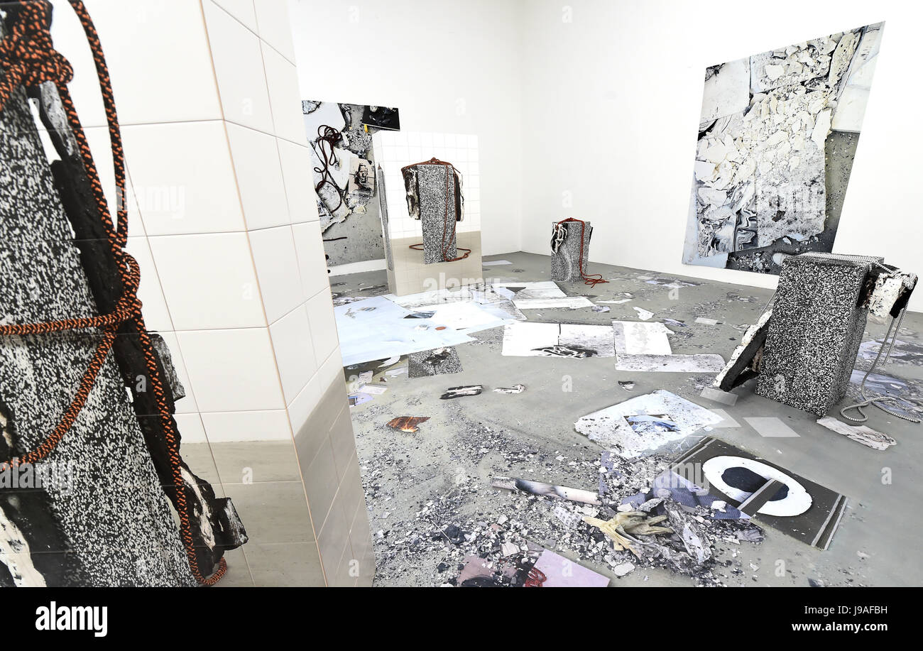 Hanover, Germany. 01st June, 2017. Picture of the art work "Peles ...