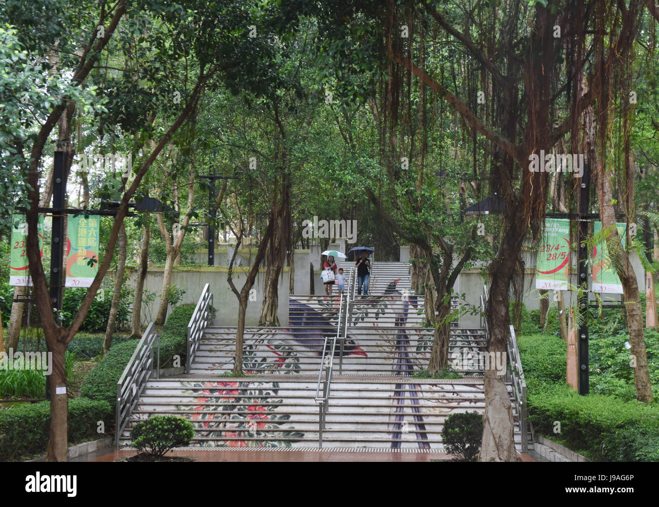 Tai po waterfront park hi-res stock photography and images - Alamy
