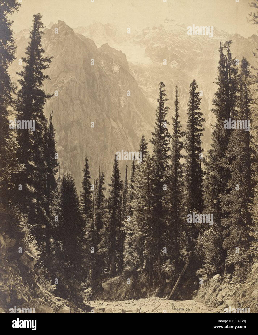 This photograph, taken by Samuel Bourne, shows the Wanga Valley in the ...