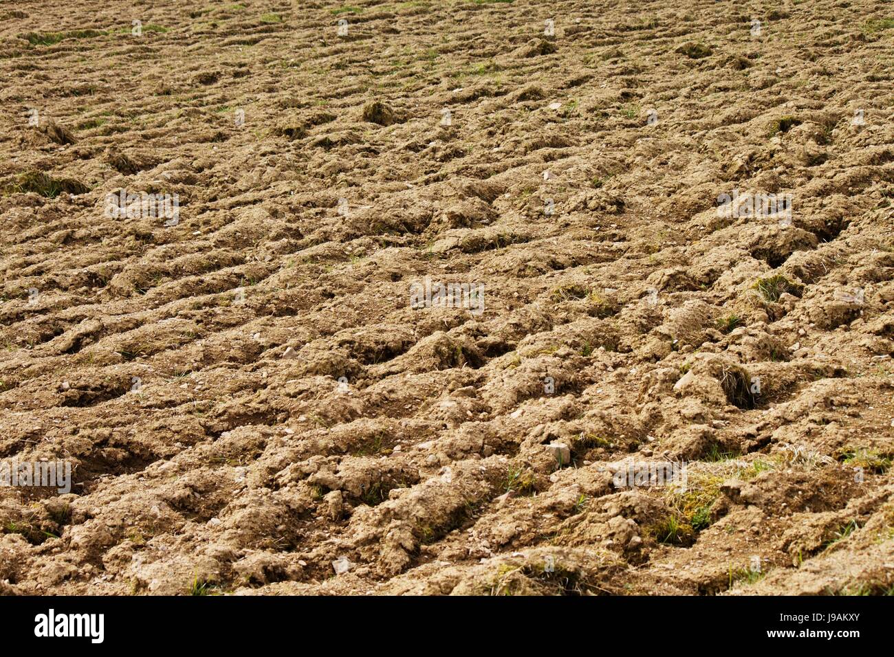 agriculture, farming, field, acre, farmer, infield, furrow, structure ...