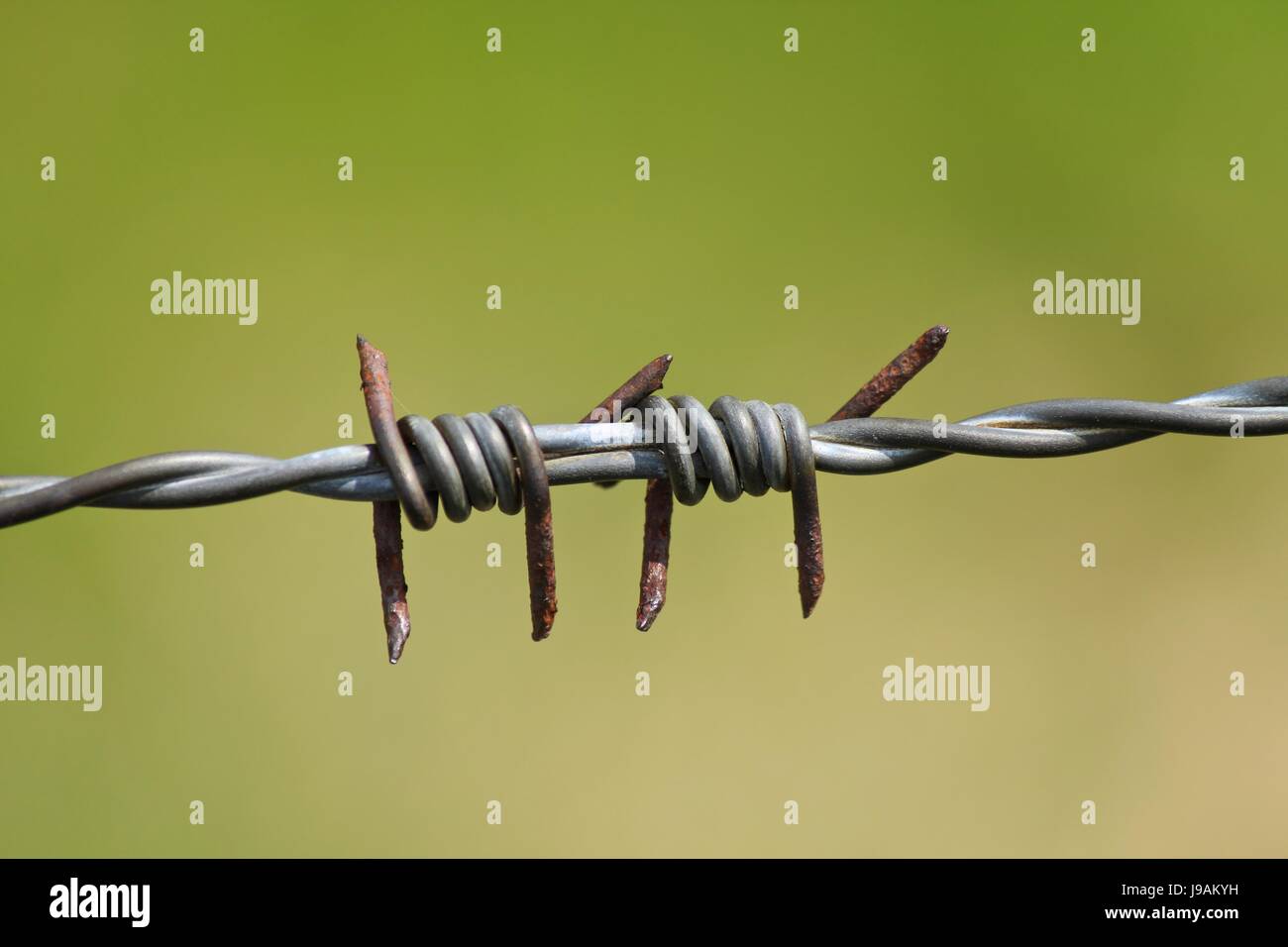 iron, freedom, liberty, steel, metal, rusty, rust, fence, fence in ...