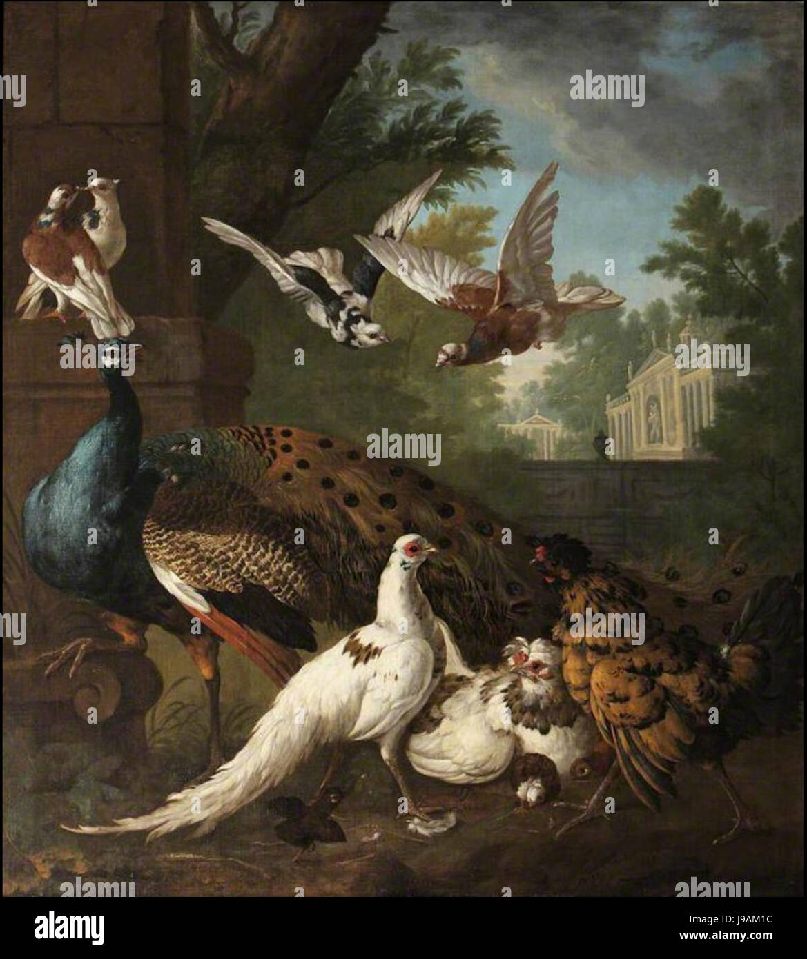 Pieter Casteels III Birds in a Landscape Stock Photo - Alamy