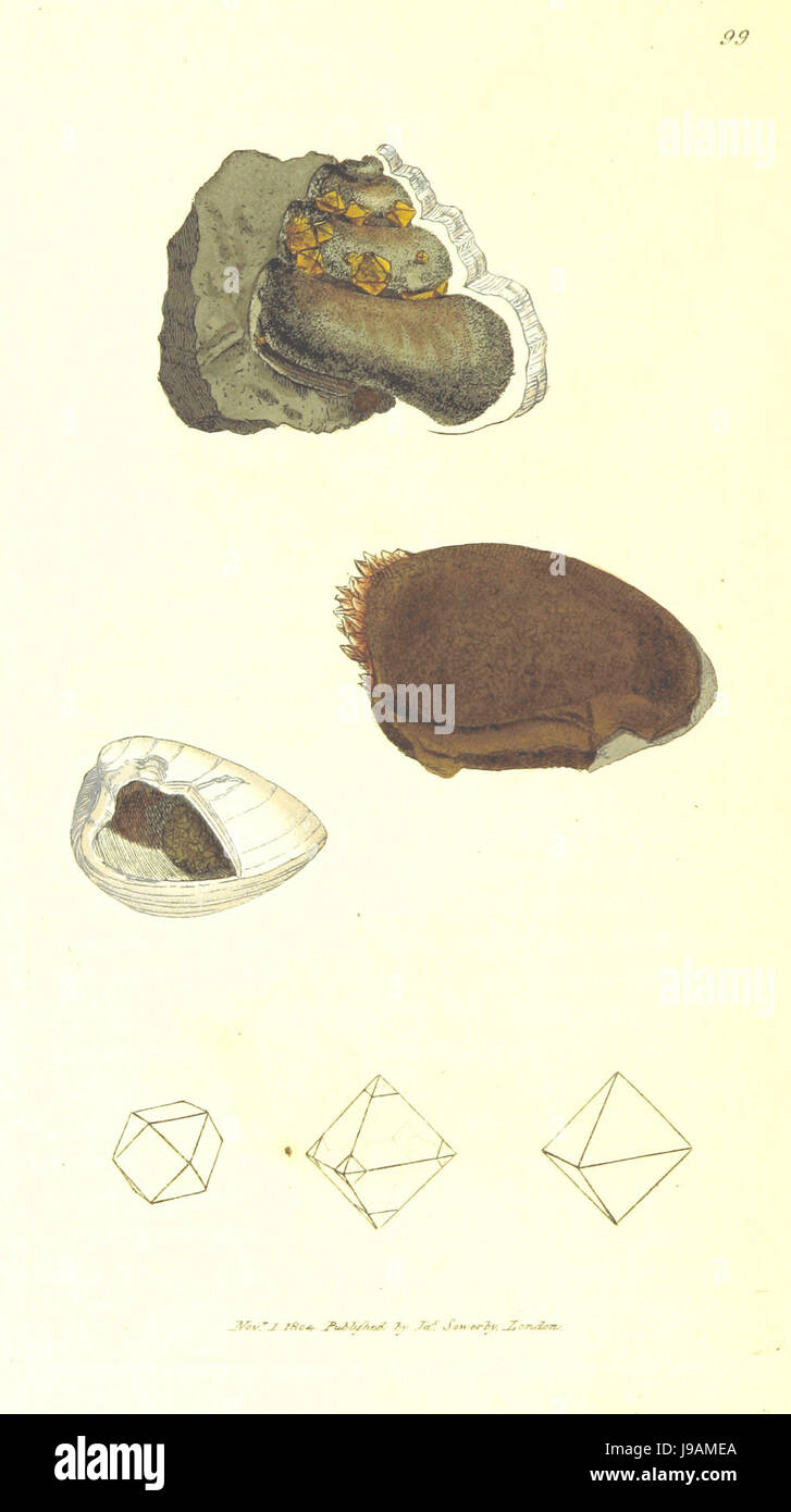 British Mineralogy Vol.1 (1804) p422 T99 FERRUM sulphureum Stock Photo ...