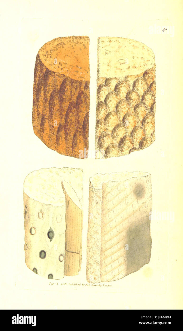 British Mineralogy Vol.1 (1804) p180 T40 SILEX arenacea Stock Photo - Alamy