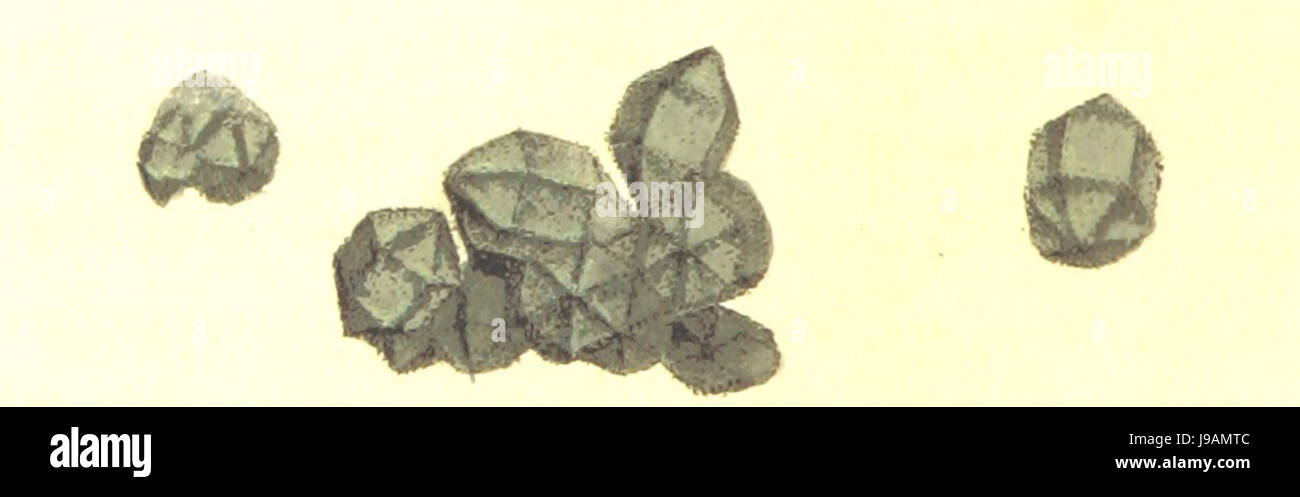 British Mineralogy Vol.2 (1806) p412 T199b SILEX Quartzum Stock Photo ...