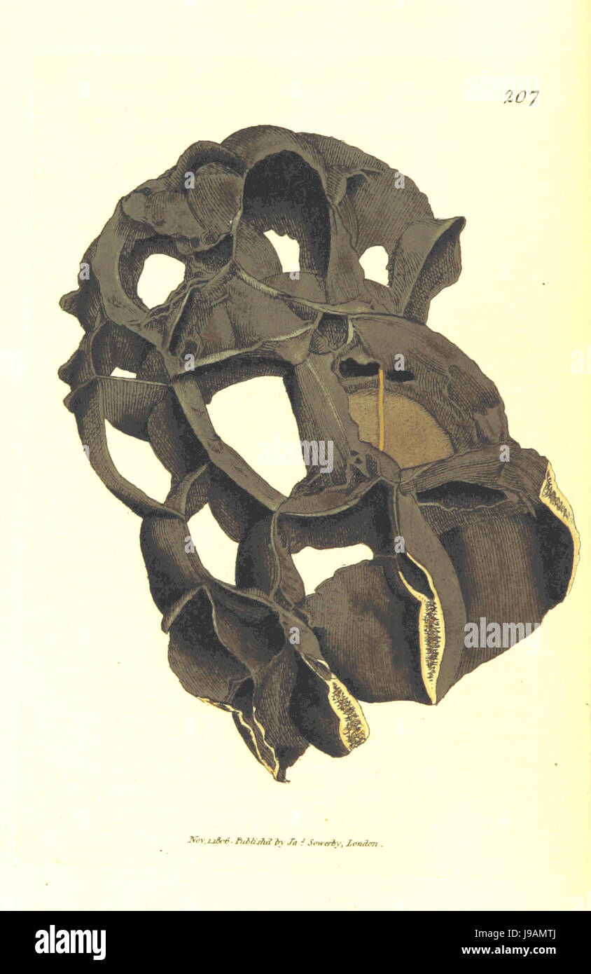 British Mineralogy Vol.3 (1809) p034 T207 SILEX Quartzum Stock Photo ...