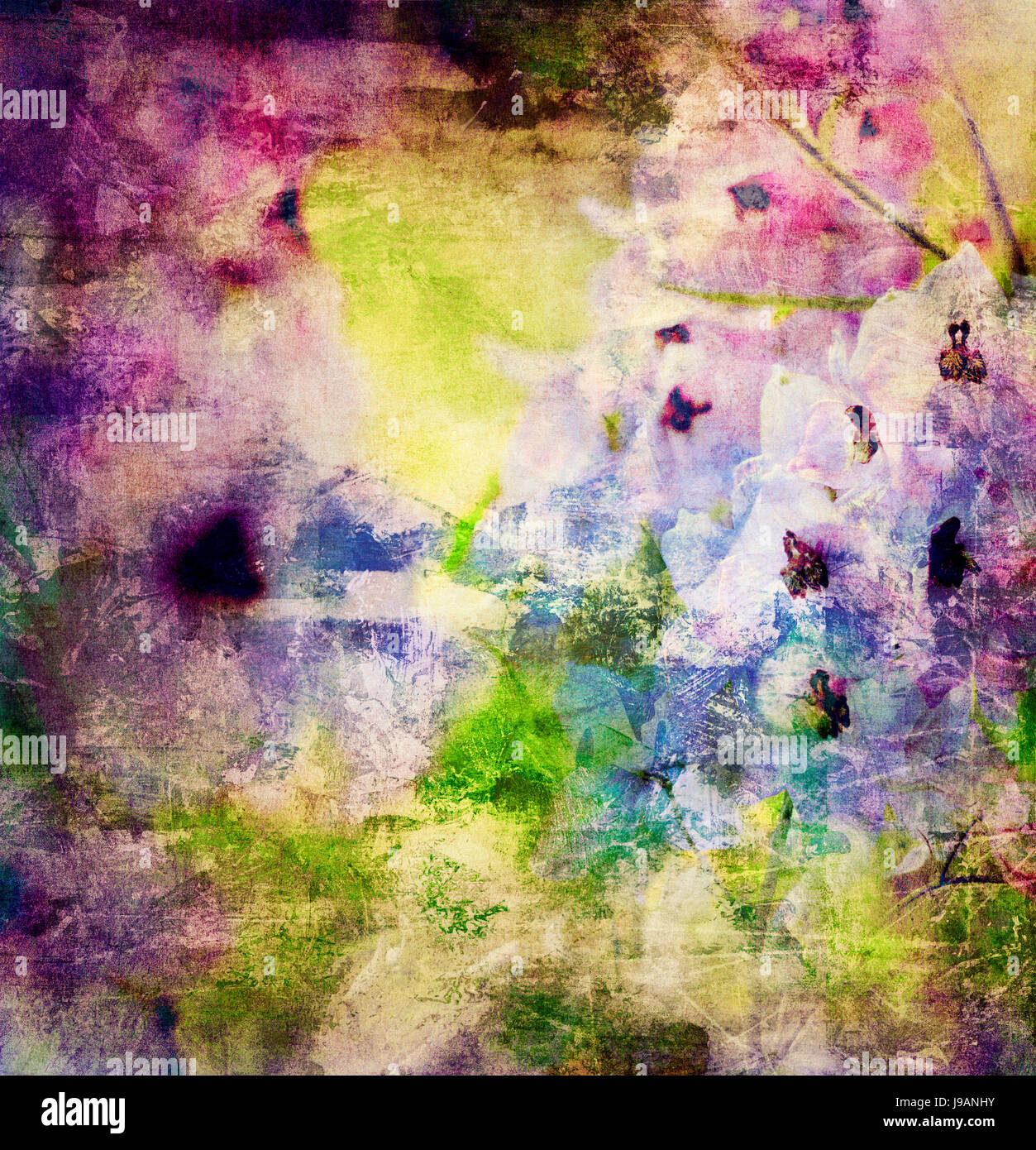 Pale blue delphinium hi-res stock photography and images - Alamy