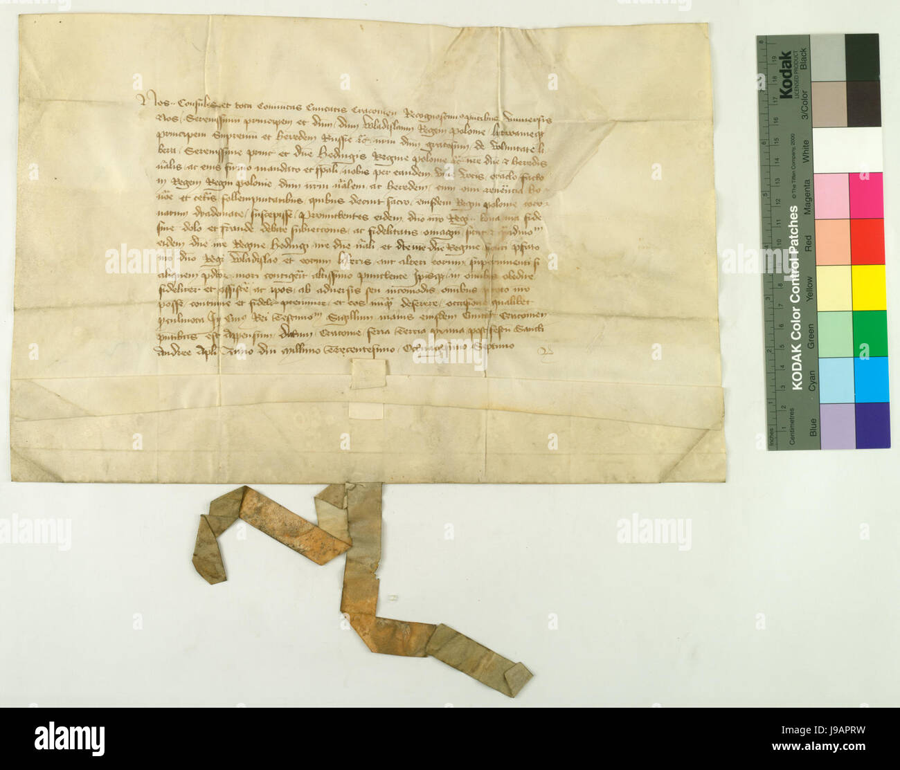 Rajcy i miasto Krakow skladaja przysiege wiernosci krolowi Wladyslawowi ...