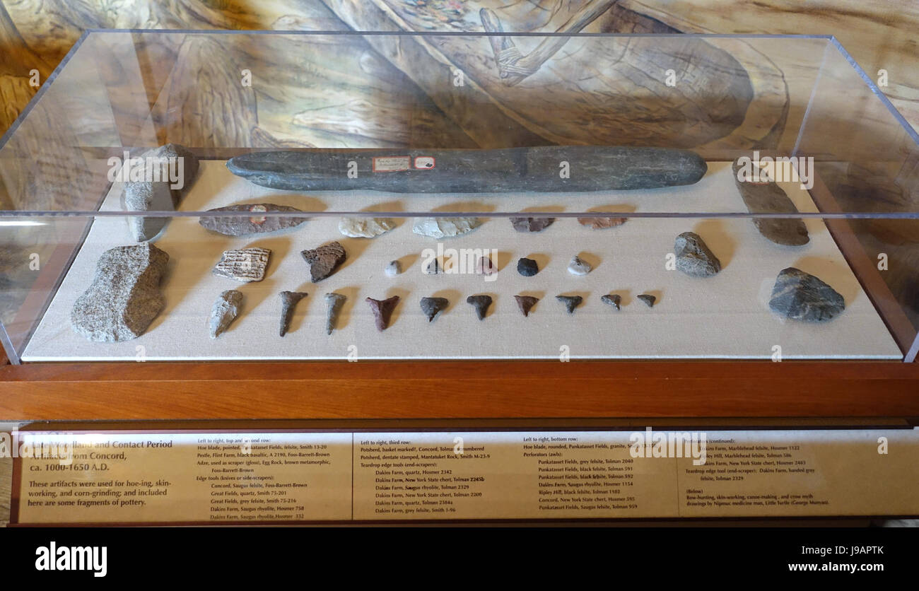 Native American artifacts 1 Concord Museum Concord, MA DSC05935 Stock ...