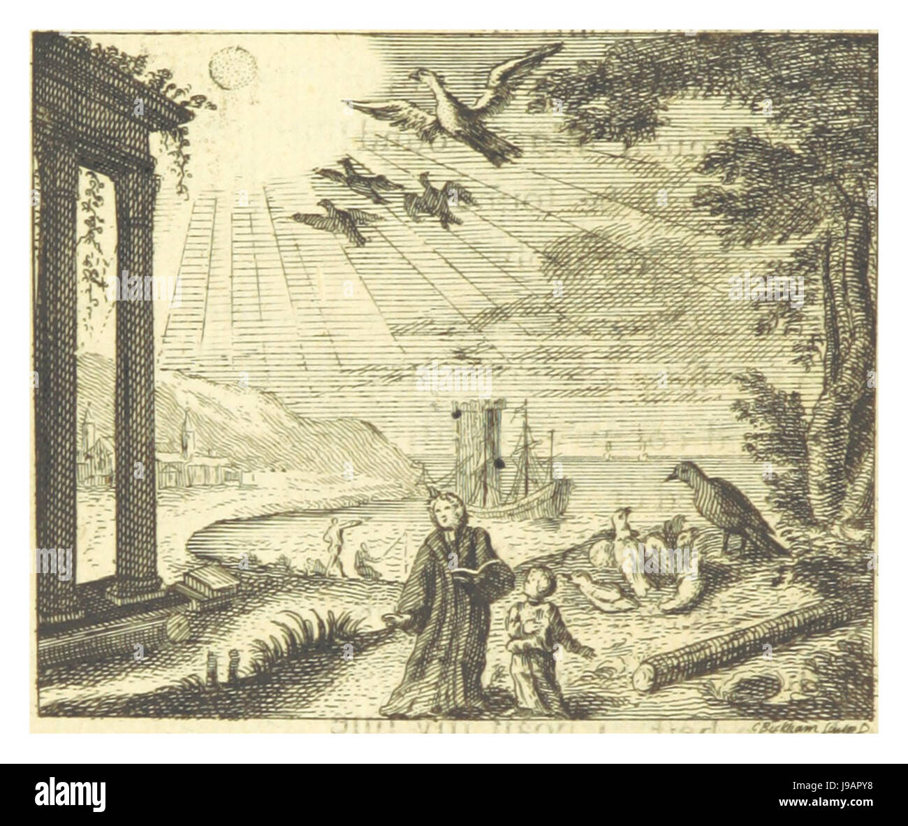 Birds eagles Cut Out Stock Images & Pictures - Alamy