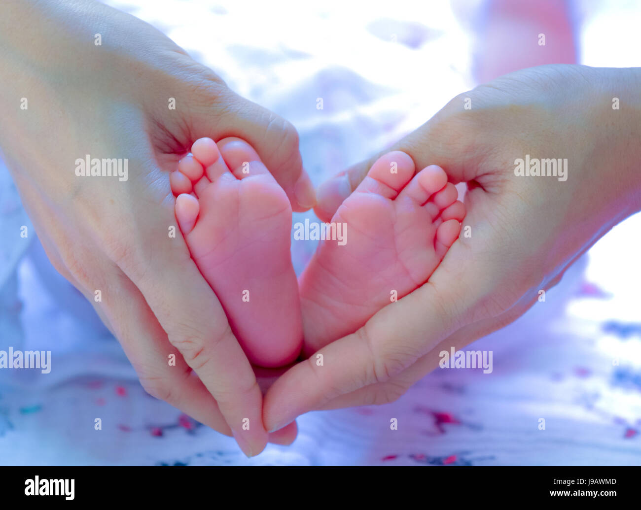 Hand holding baby feet hi-res stock photography and images - Alamy