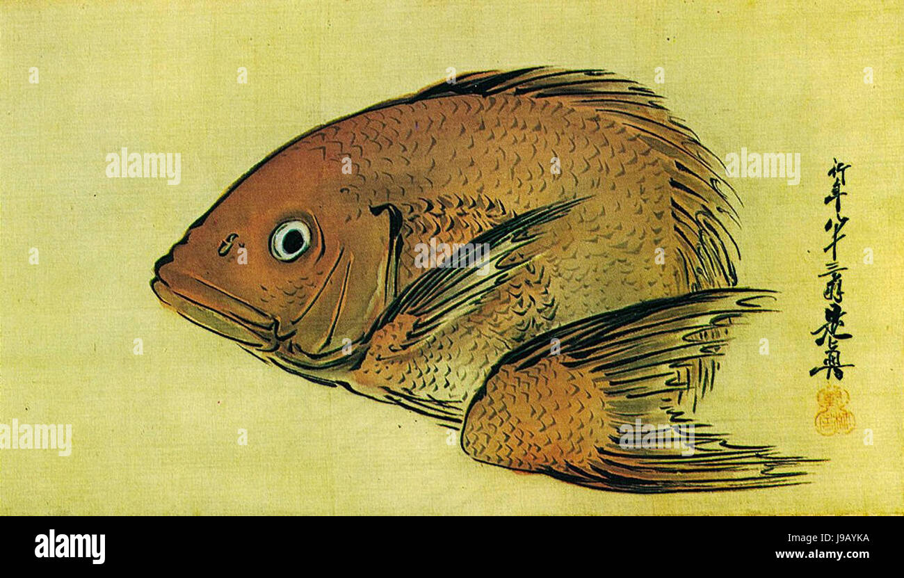 'A Tai Fish' by Shibata Zeshin, Honolulu Museum of Art 4597.1 Stock ...