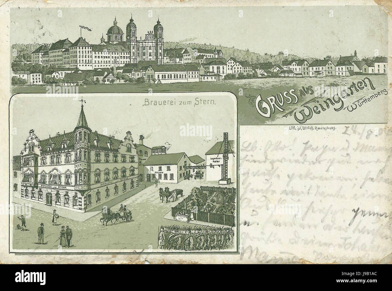 Weingarten Stern AK 1904 Stock Photo - Alamy